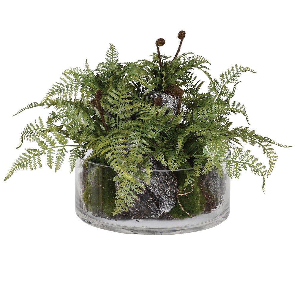 Green Fern Plant with Bark in Glass Bowl