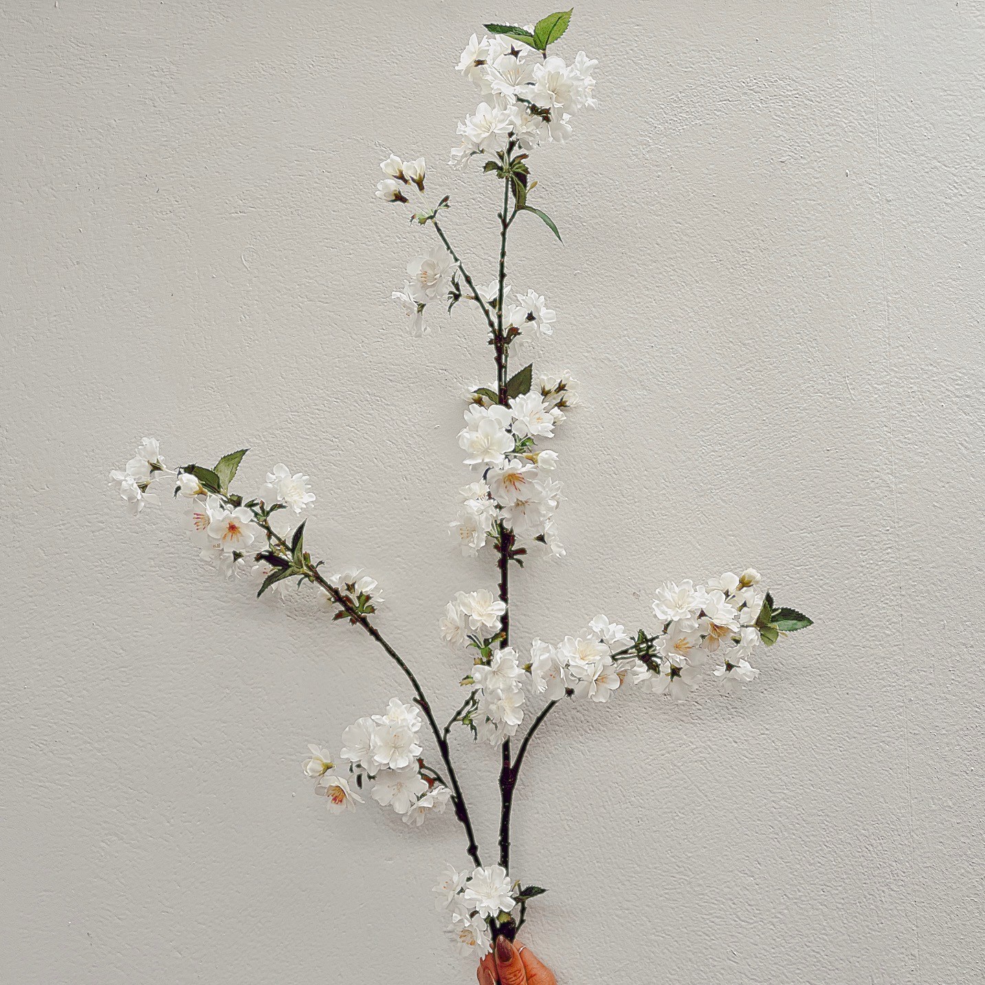 Whisper White Cherry Blossom Spray