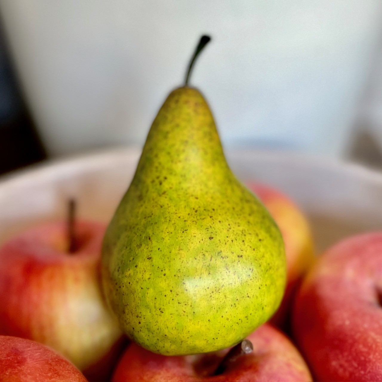 Real Feel Conference Pear